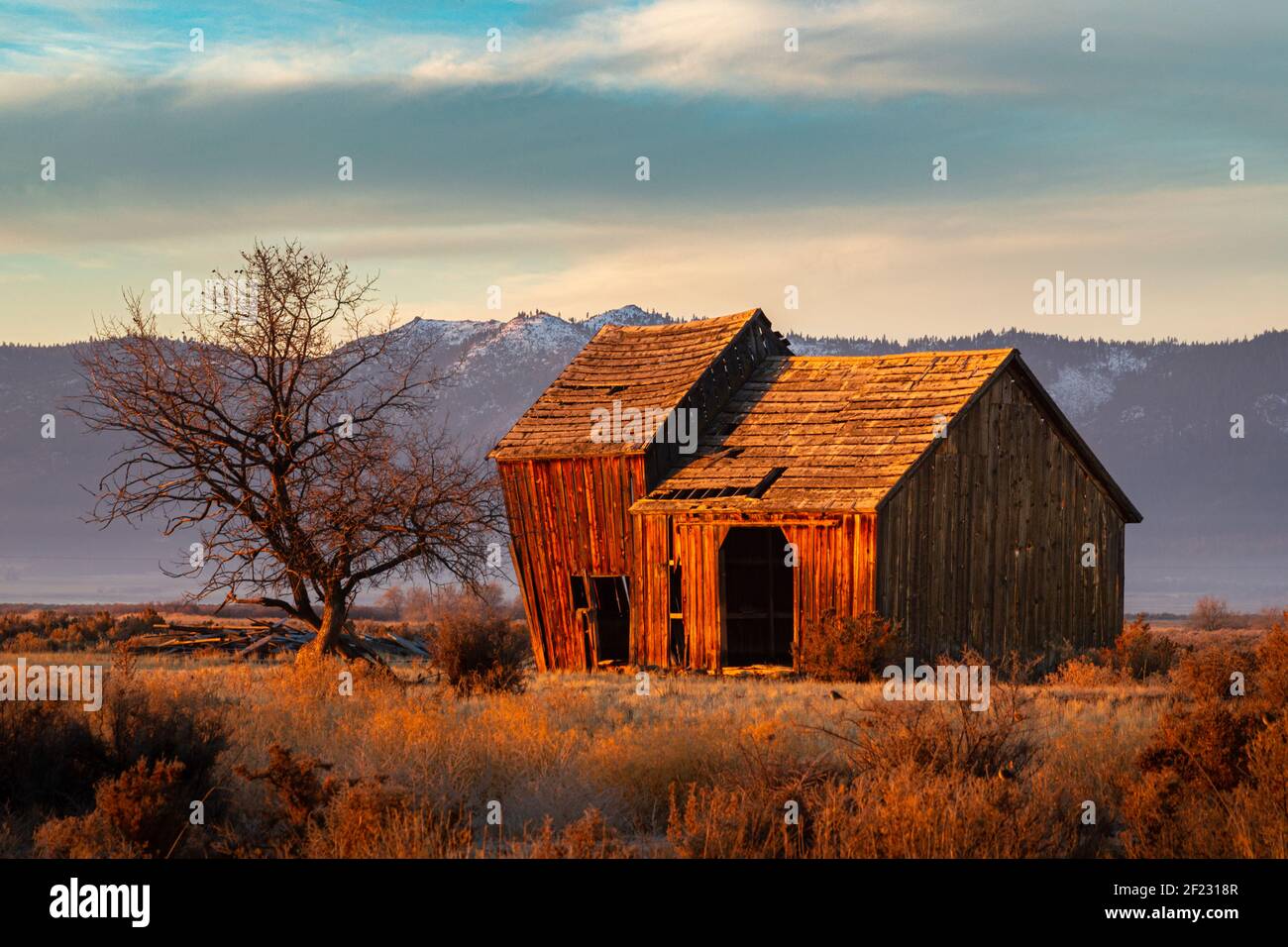 Run down/ abandoned old agricultural barn in rural Lassen County ...