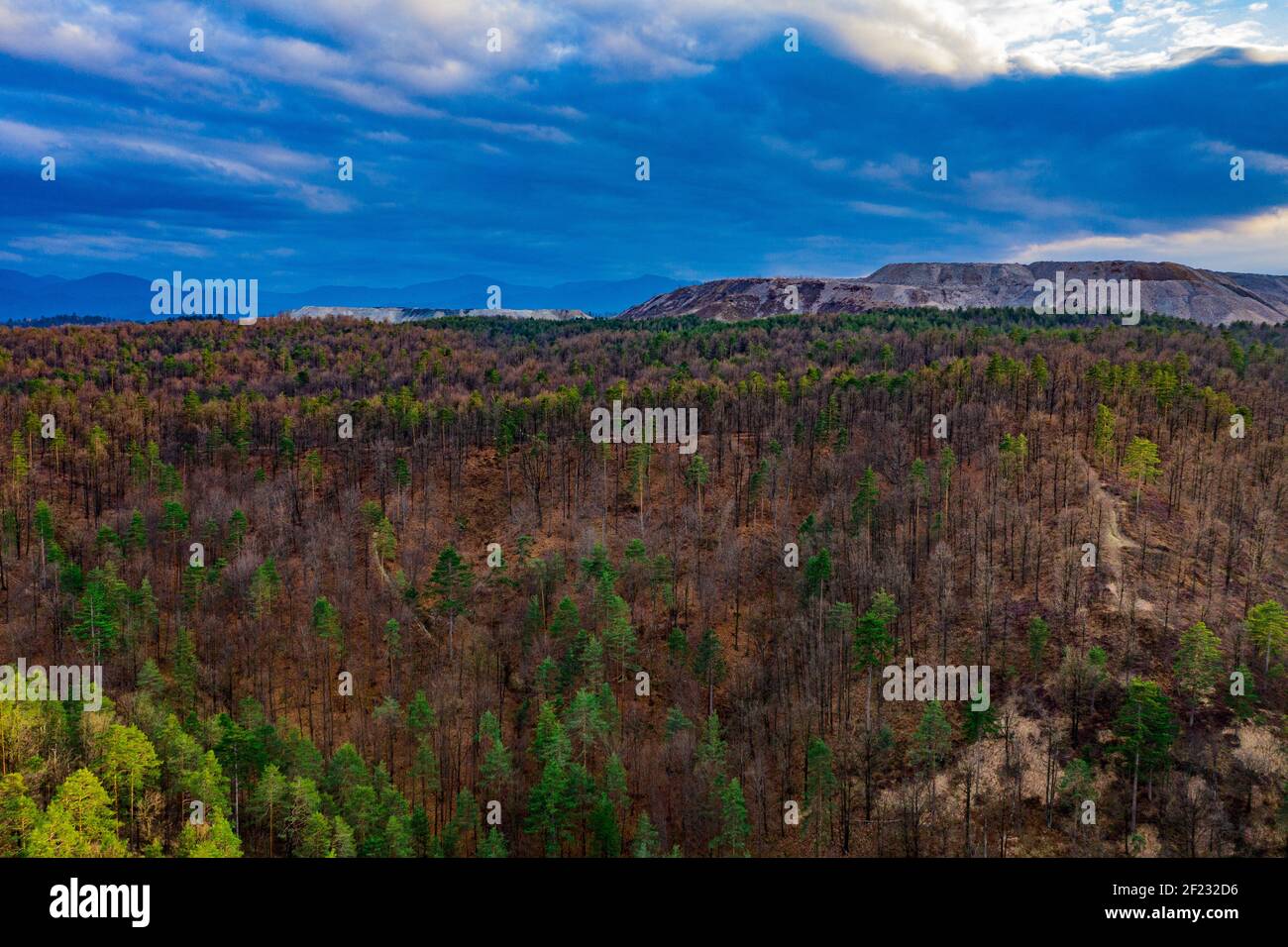 A spectacular view of a landscape with tall trees and high hills Stock ...