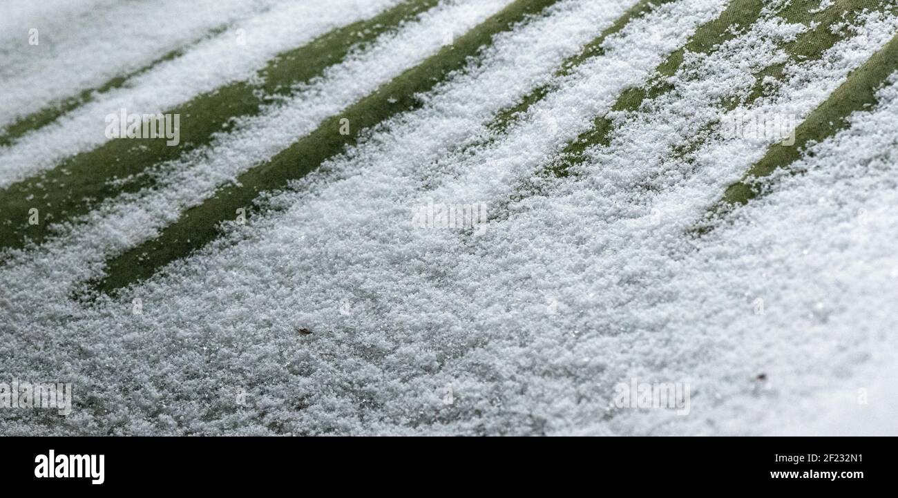 Fallen snow causing green ridges and ripples on a green canopy Stock ...
