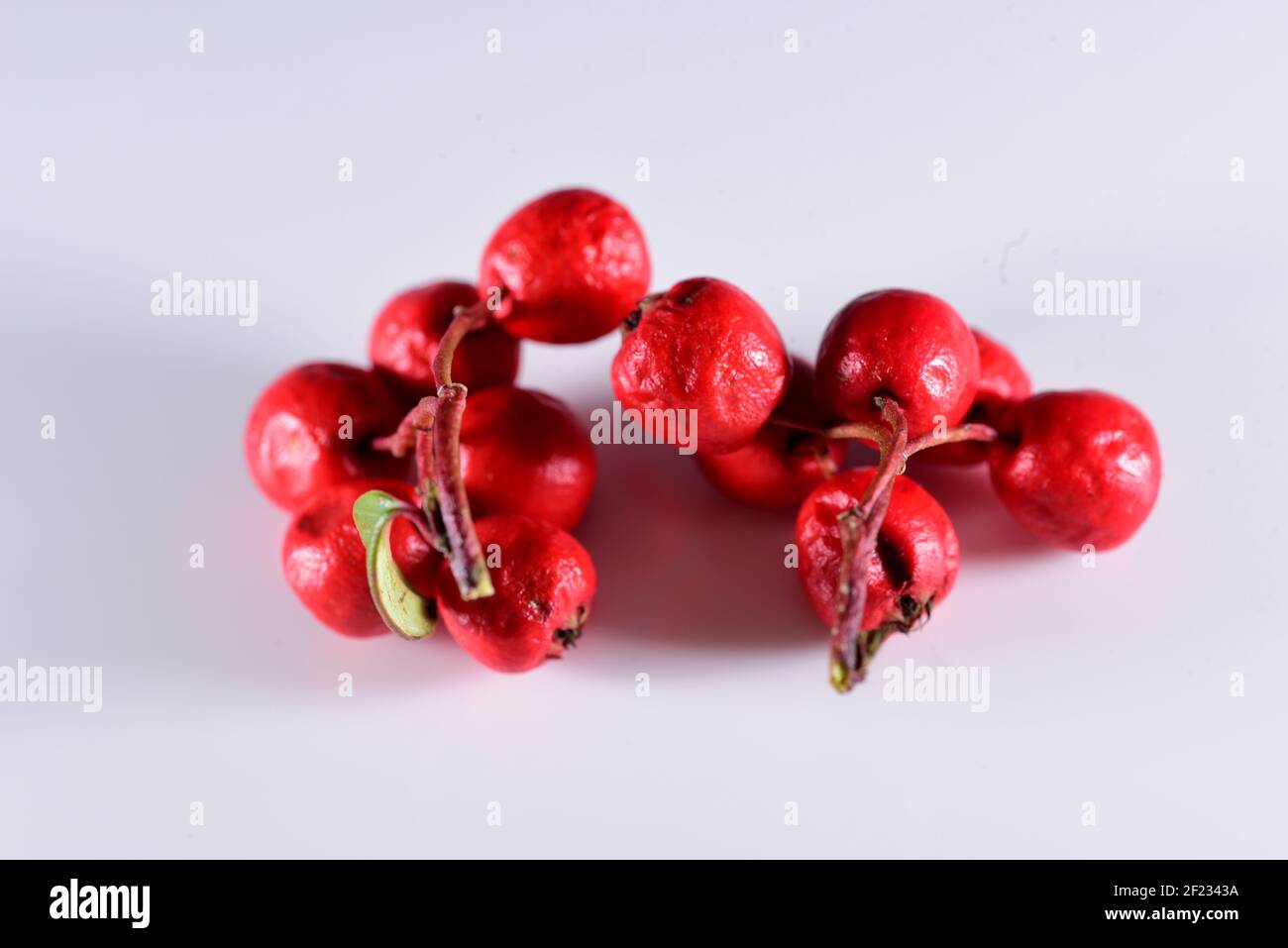 Red berry sample hi-res stock photography and images - Alamy