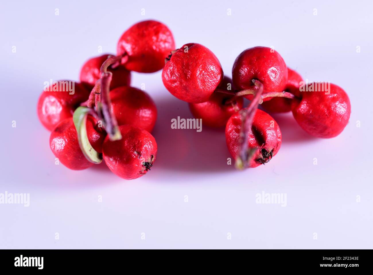 Red berries Stock Photo - Alamy