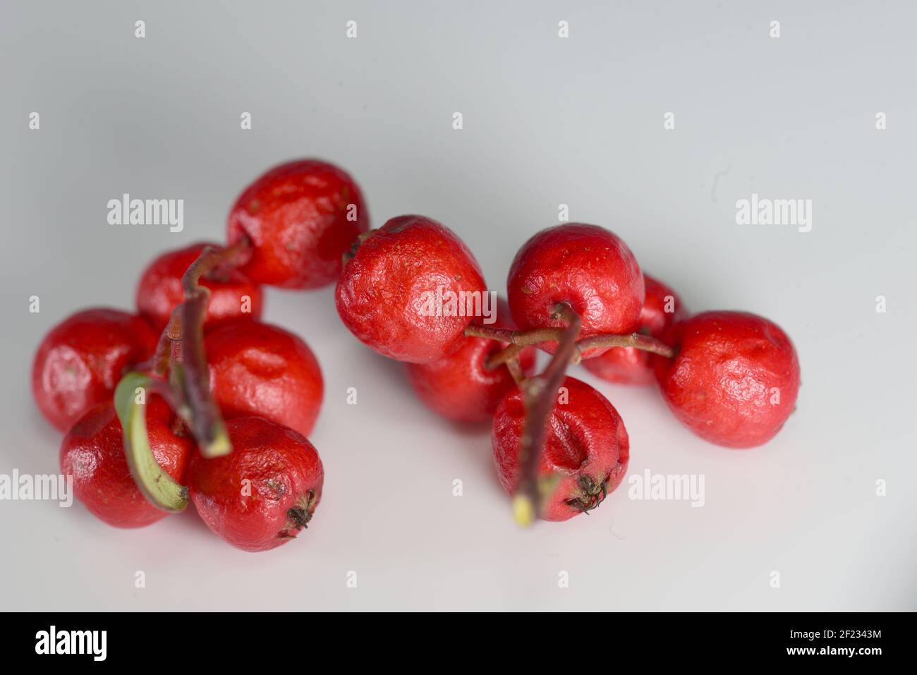 Berries for crafting hi-res stock photography and images - Alamy