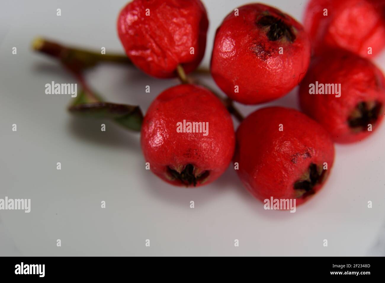 Red berries Stock Photo - Alamy