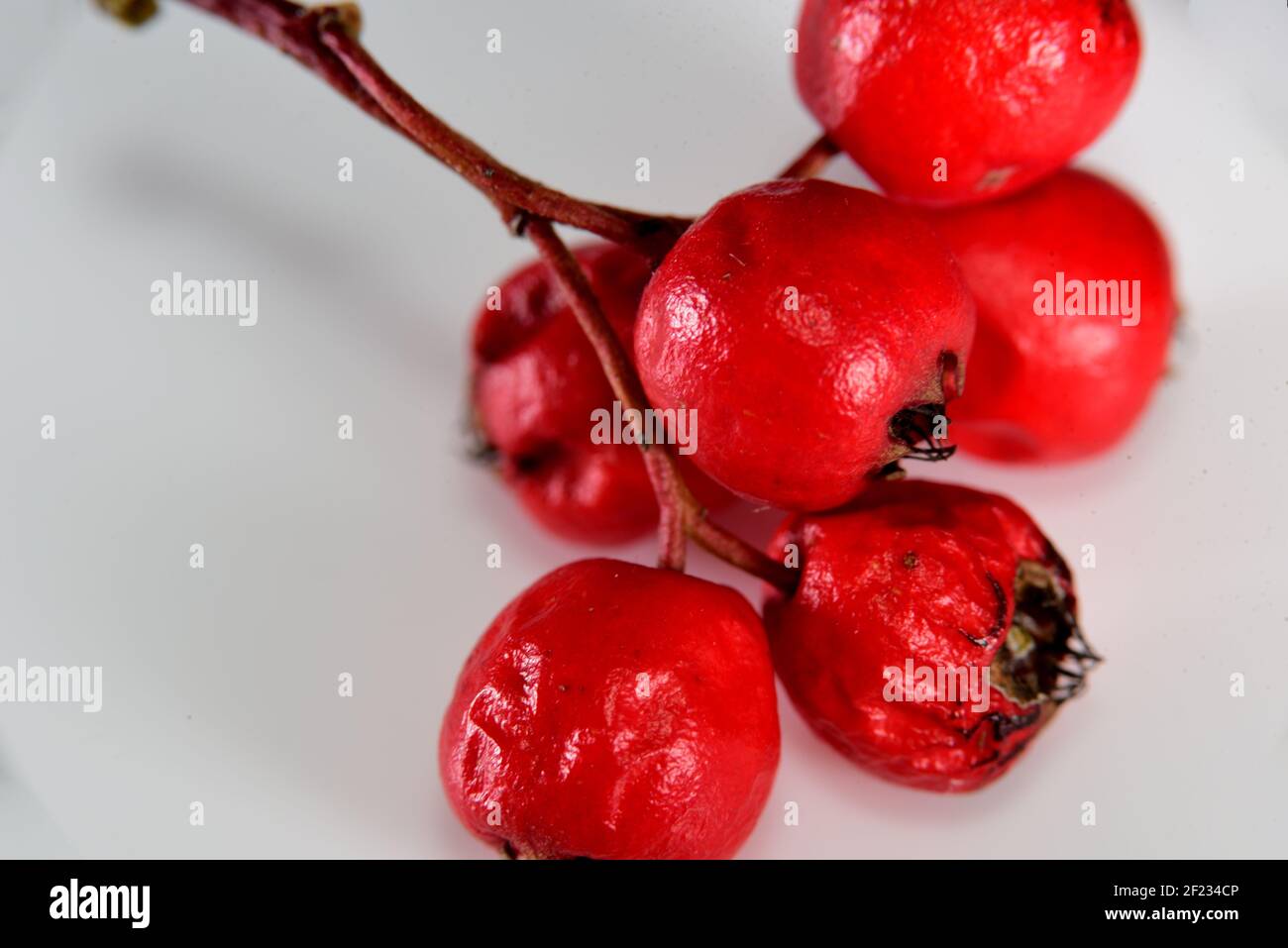 Berries For Crafting High Resolution Stock Photography and Images - Alamy