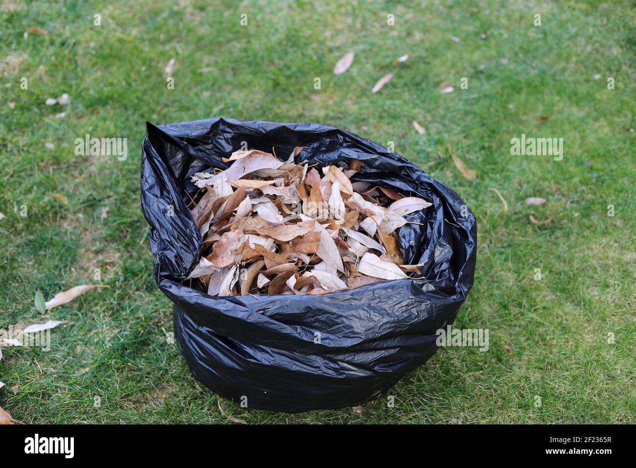 Bagged leaves hi-res stock photography and images - Alamy