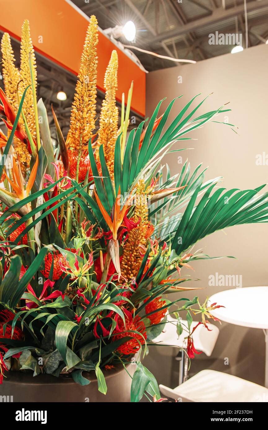 Tropical bouquet exotic flowers lily hi-res stock photography and ...