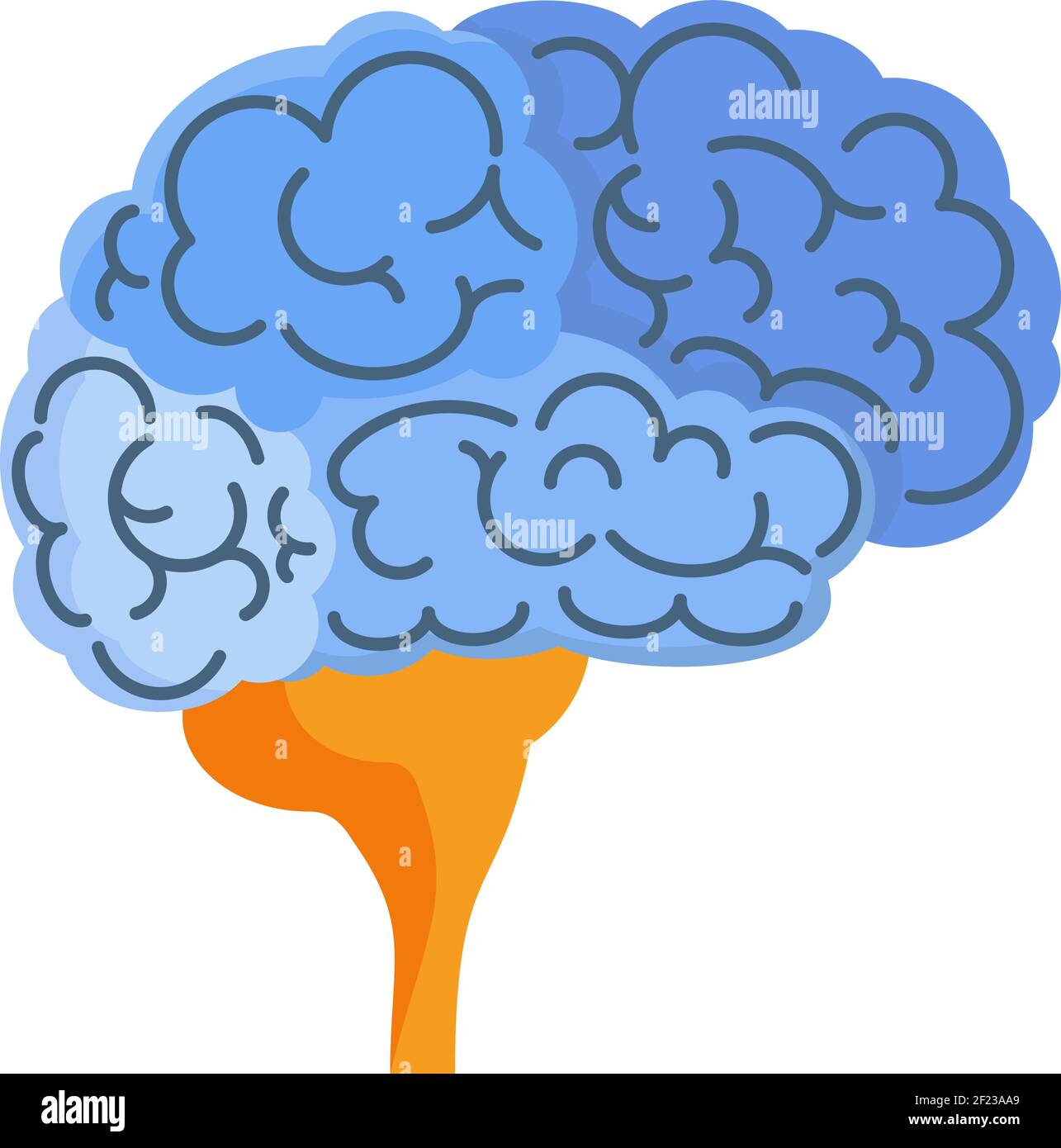 Brain icon. Top view, side view. Mind, creativity and knowledge Stock ...
