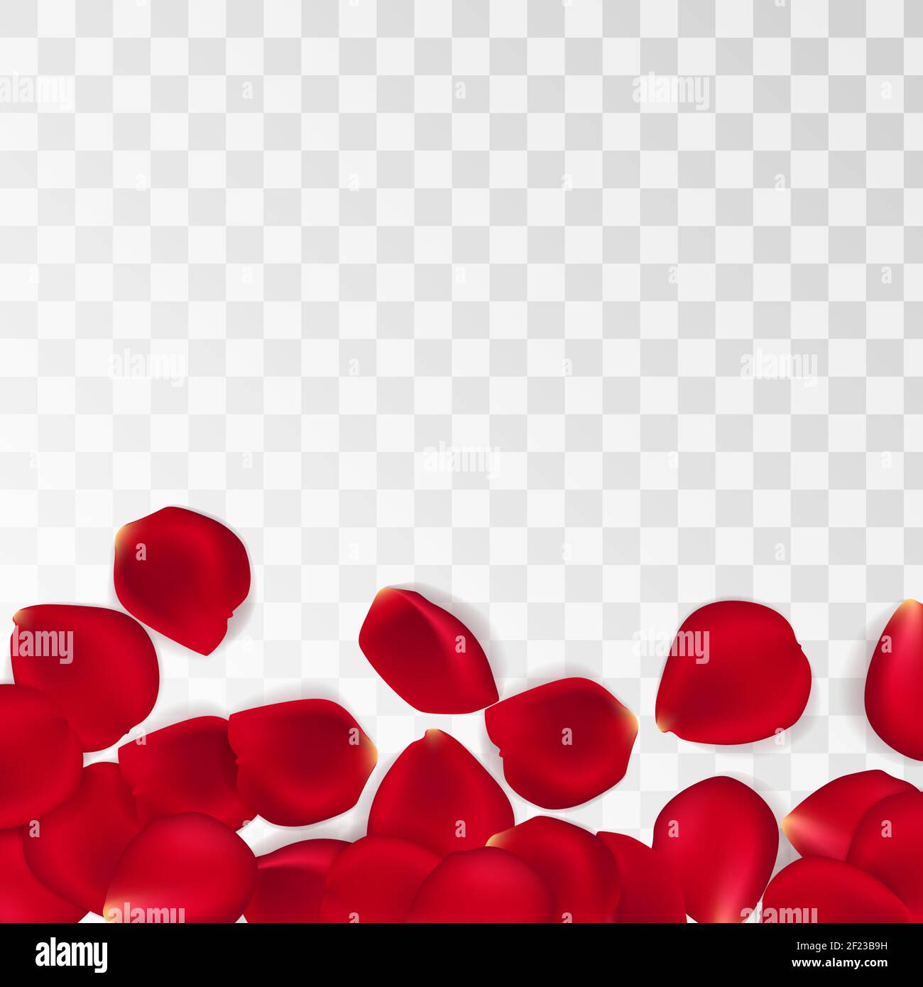 Red rose petals against white background. Eps 10 vector. Vector red ...