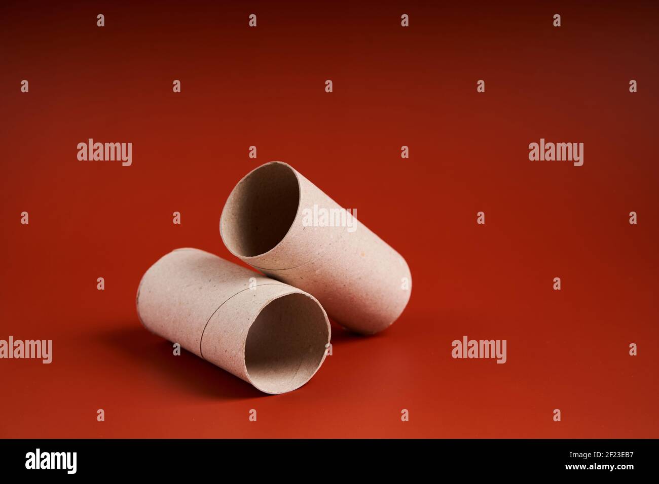 An empty cardboard toilet paper tube close up Stock Photo - Alamy