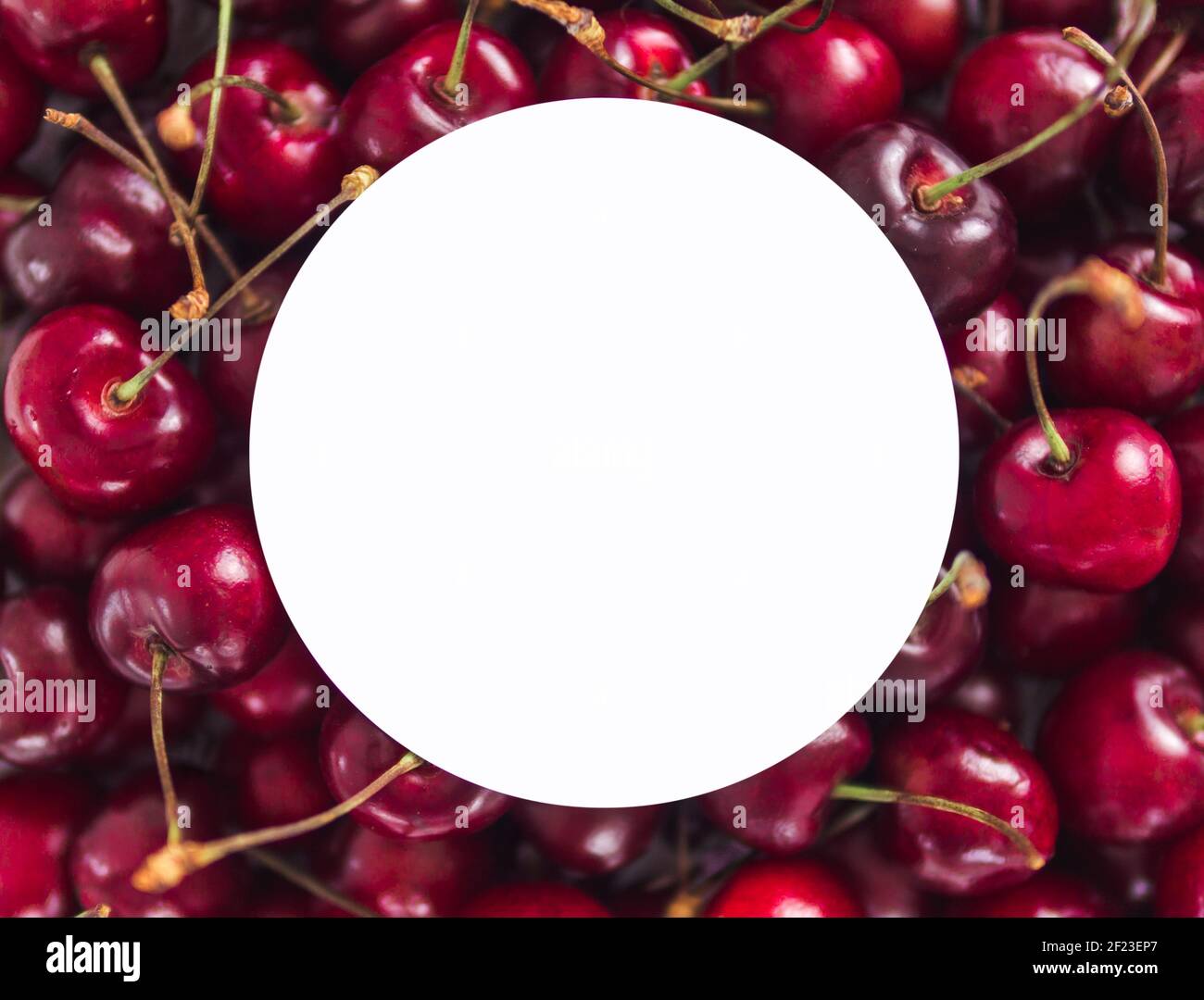 Cherry white circle copy hi-res stock photography and images - Alamy