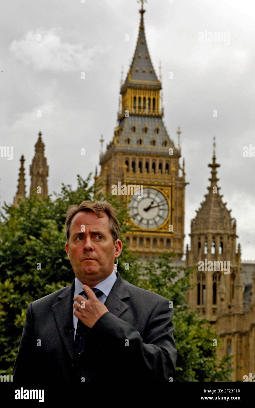 Liam Fox on Colledge Green on the day Gordon Brown anounced his new ...