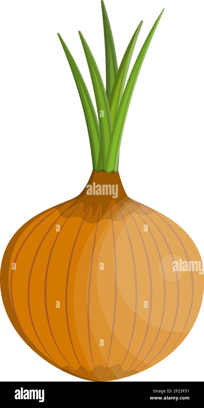Onion design vegetable organic Stock Vector Images - Alamy