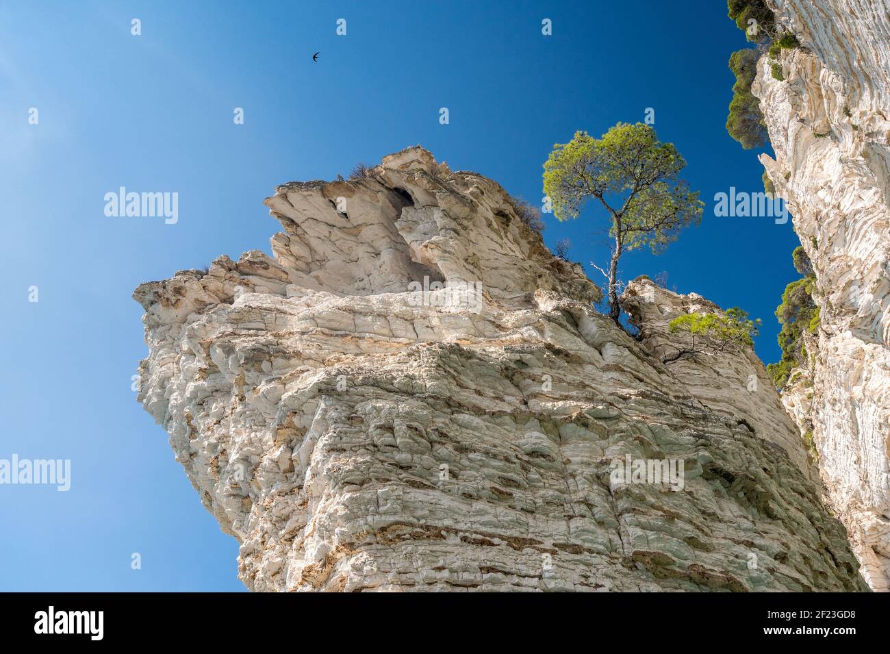 Gargano nationalpark apulien hi-res stock photography and images - Alamy