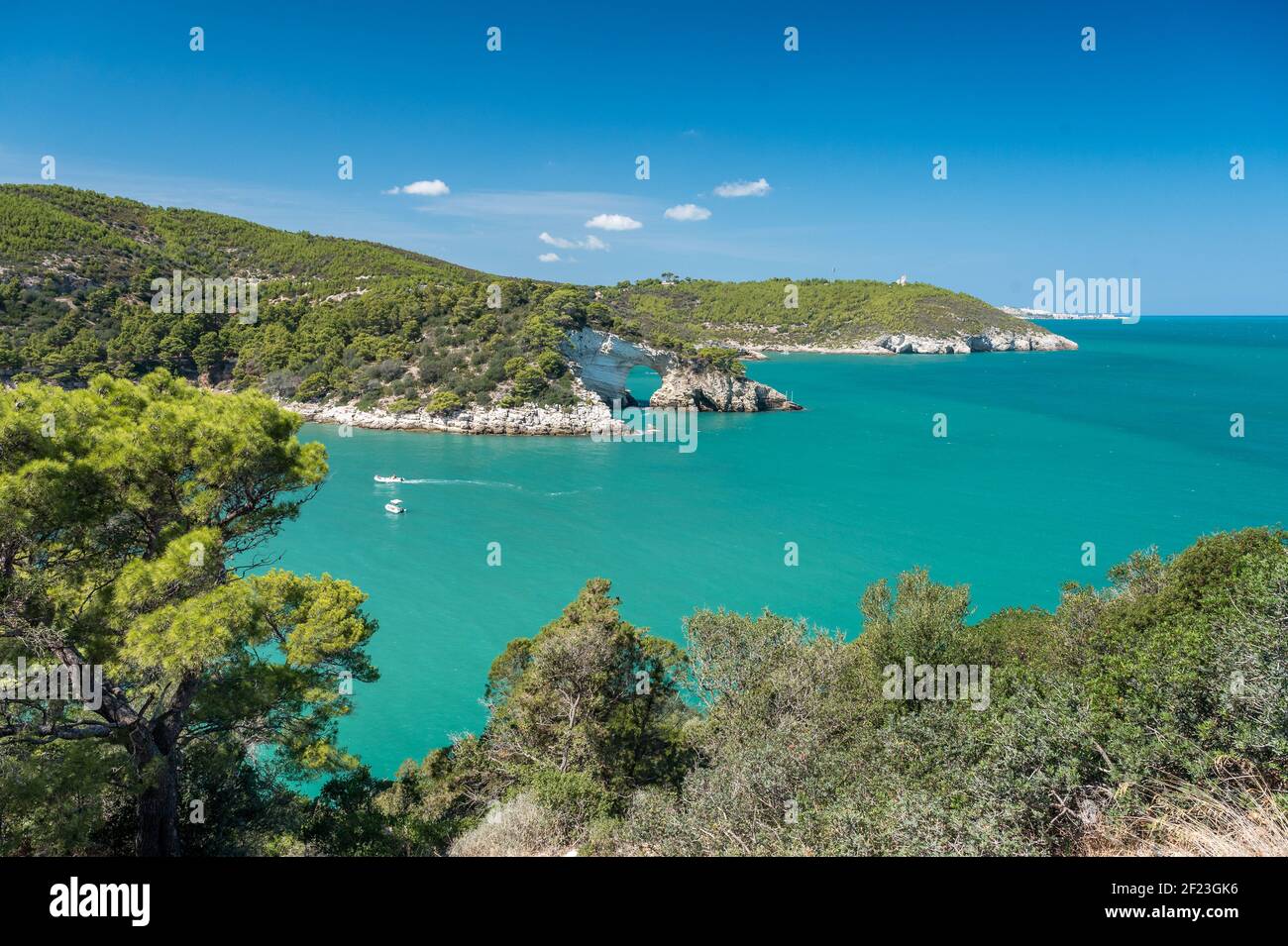 Nationalpark gargano hi-res stock photography and images - Alamy