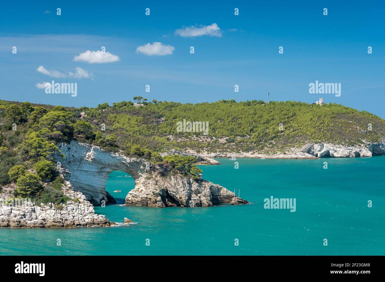 Nationalpark gargano hi-res stock photography and images - Alamy