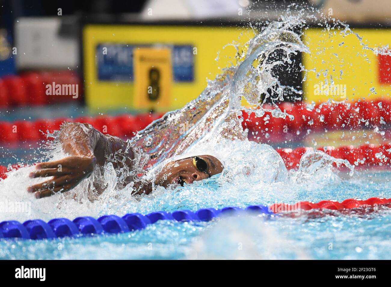 Jordan fuchs hi-res stock photography and images - Alamy