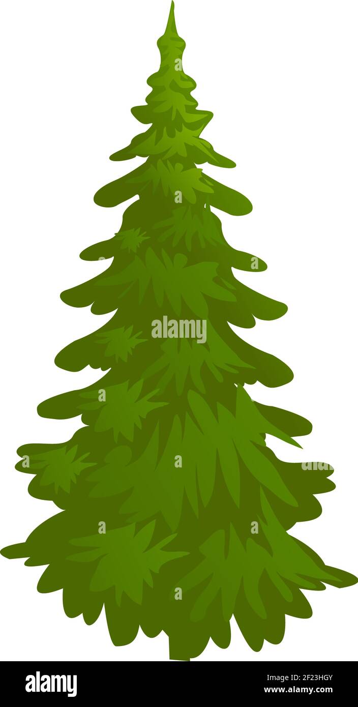 Silhouette tree spruce on Stock Vector Images - Alamy