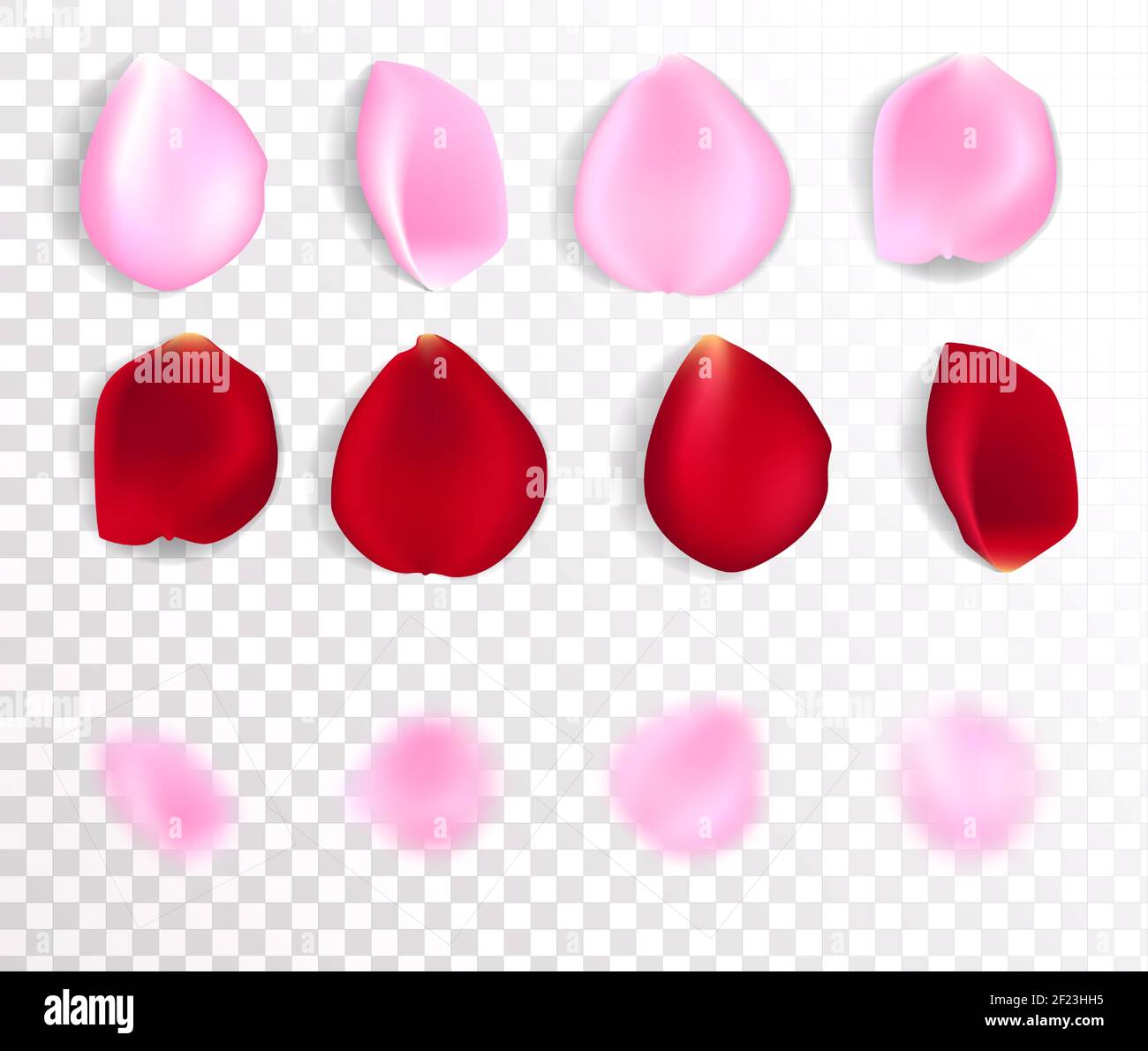 Red and pink realistic vector rose petals isolated on white. Vector red ...