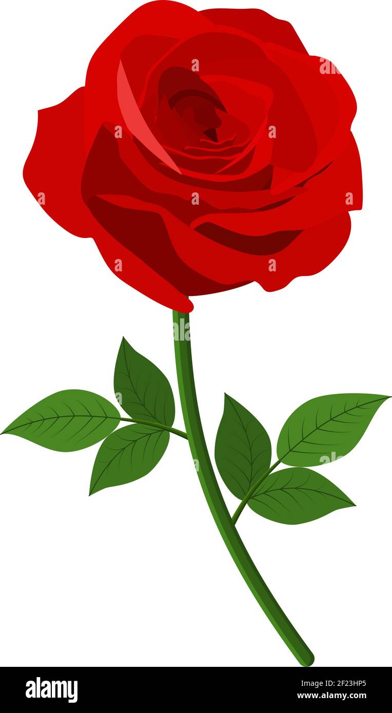 Flower line red icon Stock Vector Images - Alamy