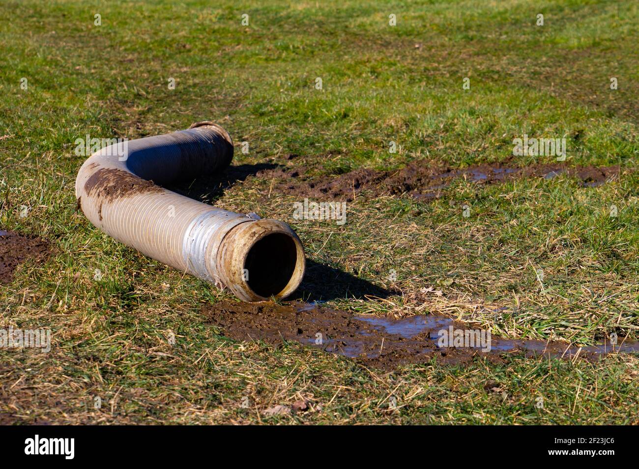 Hose manure hi-res stock photography and images - Alamy