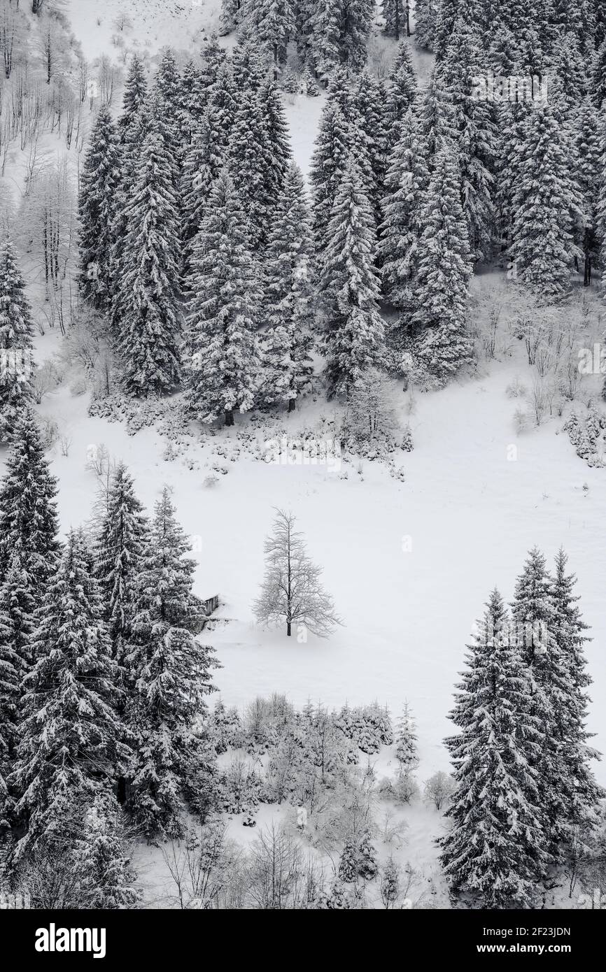 Snow landscapes from Maçka district of trabzon province Stock Photo - Alamy