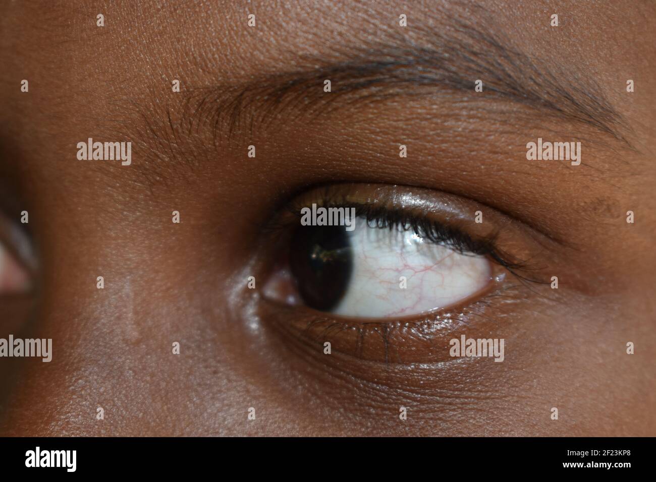 Beautiful blurry closeup view hi-res stock photography and images - Alamy
