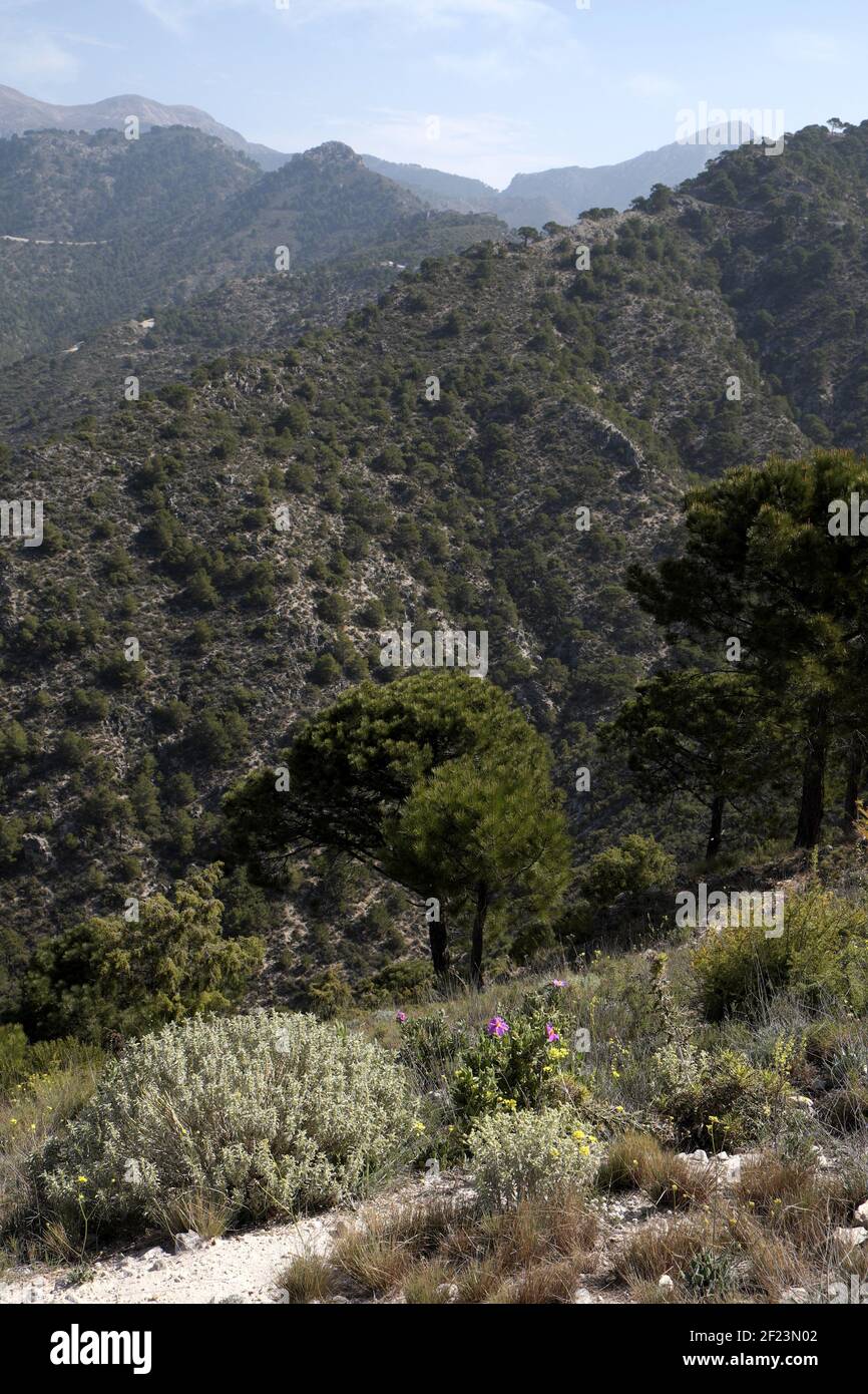 Mountains of Sierra Tejeda above Competa and Camillas de Albaida ...