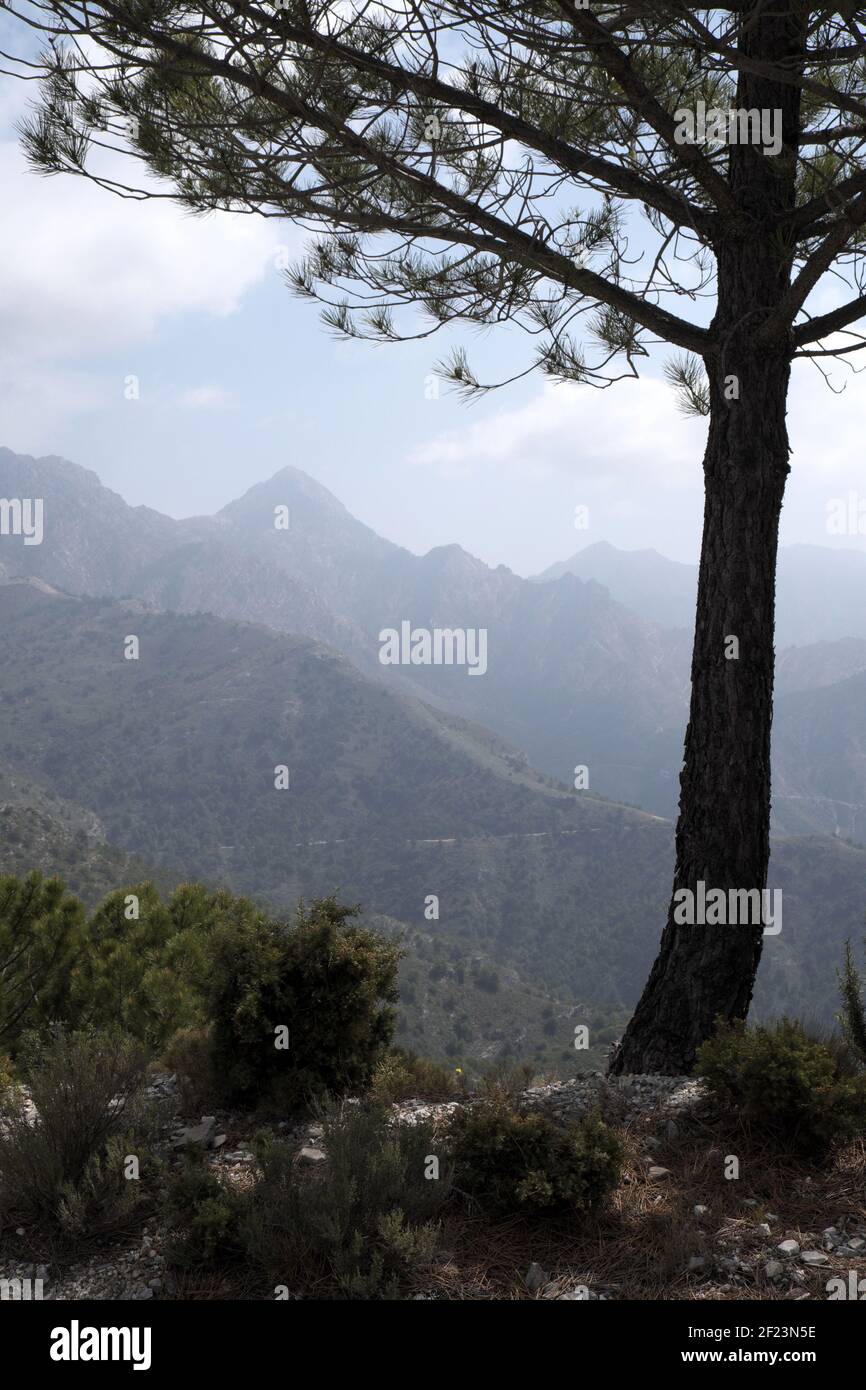 Mountains of Sierra Tejeda above Competa and Camillas de Albaida ...