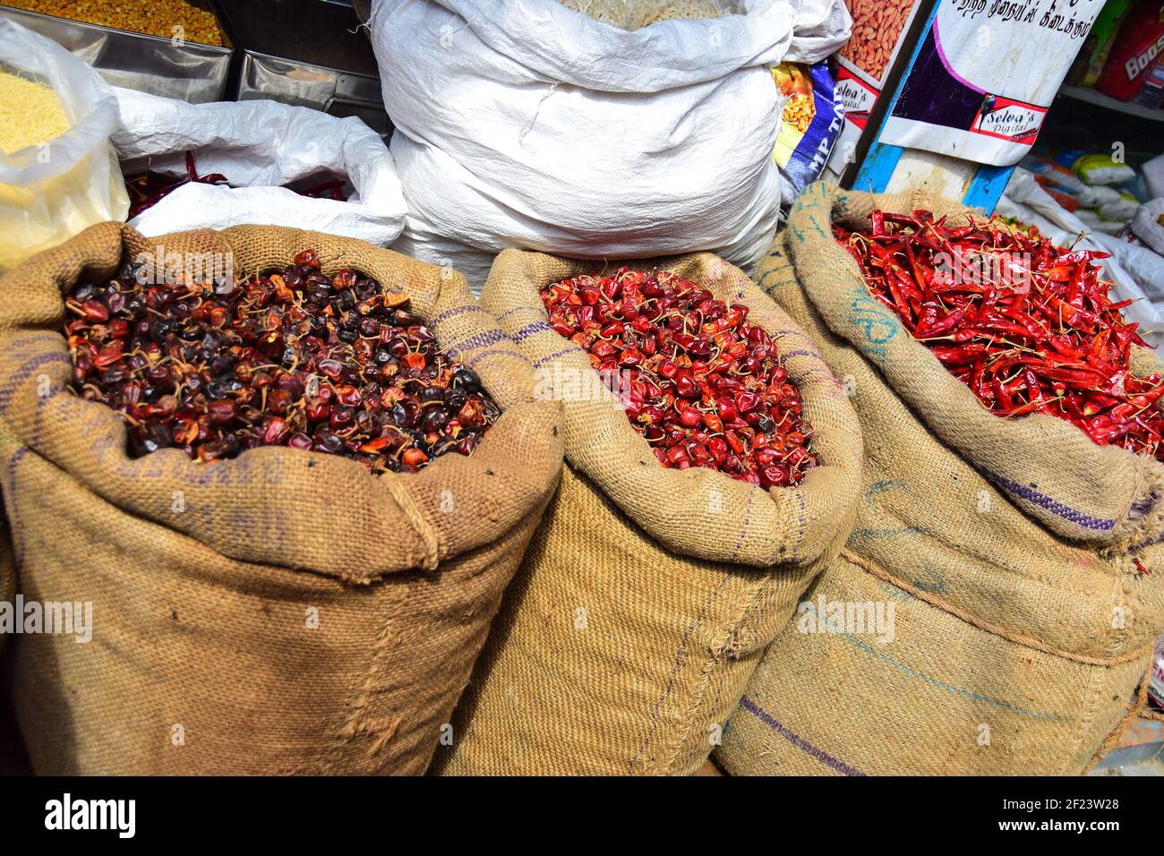 Puducherry, Pondicherry, Tamil Nadu, India Stock Photo - Alamy