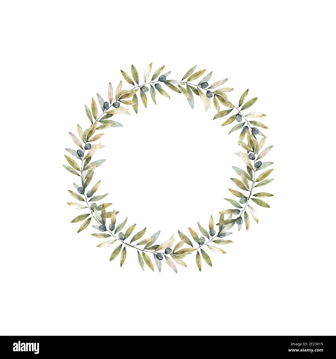 Olive frame hand drawn design illustration Stock Photo - Alamy