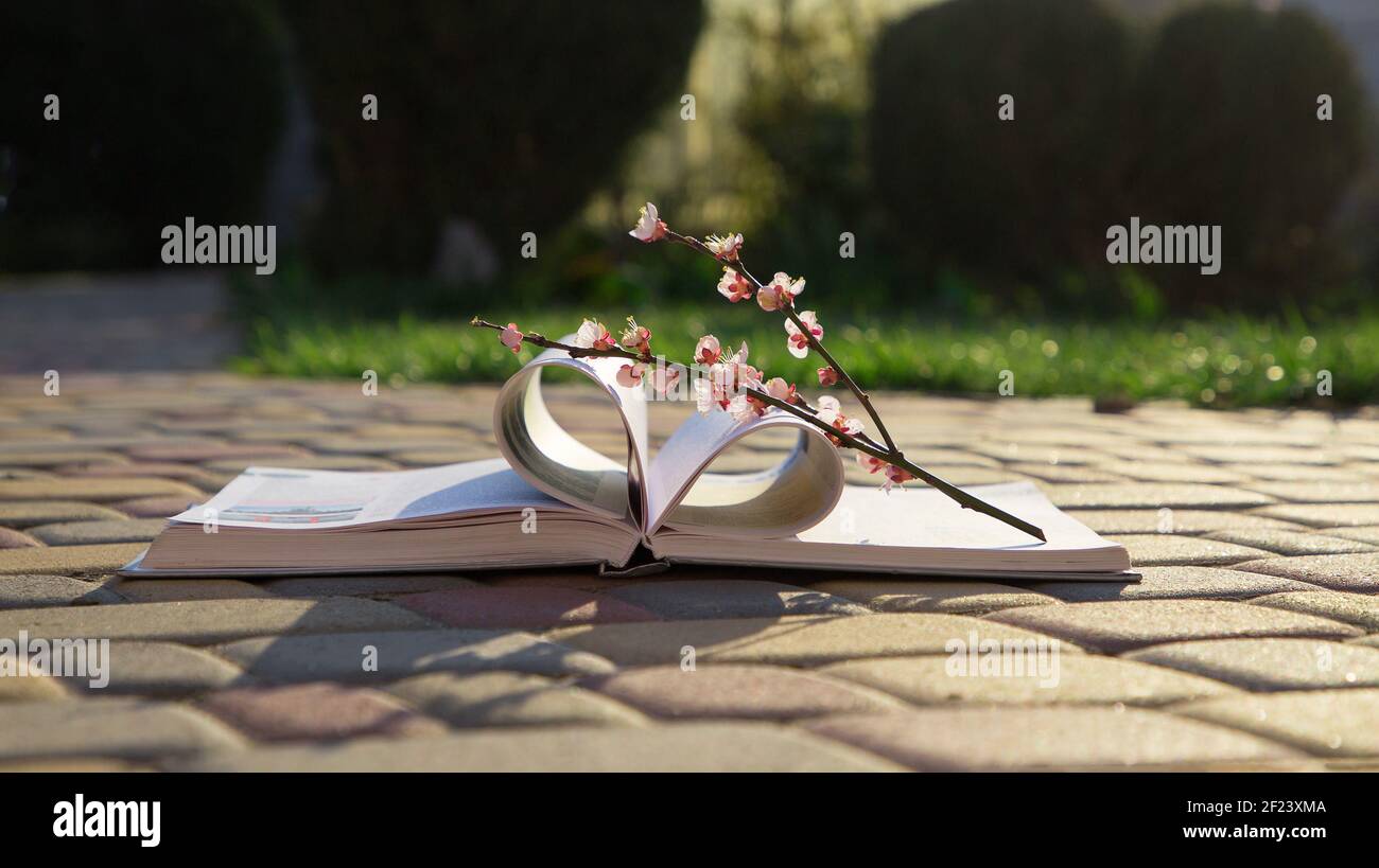 Lying on paving hi-res stock photography and images - Alamy