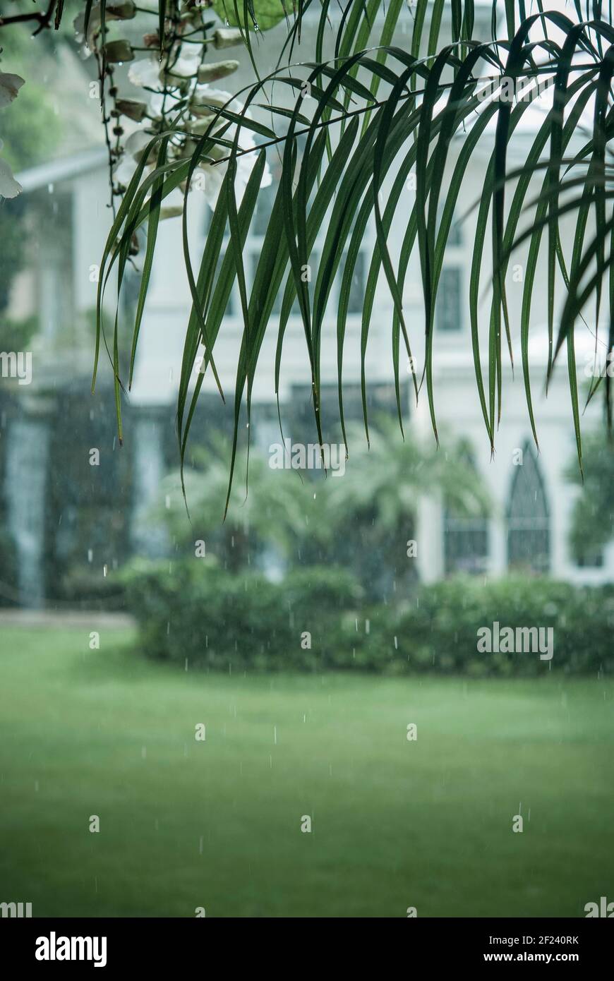 Rain pouring at the site of a mansion in the tropics Stock Photo - Alamy
