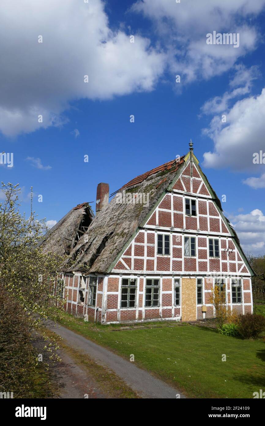 Heavily damaged thatched roof of a half-timbered house Stock Photo - Alamy