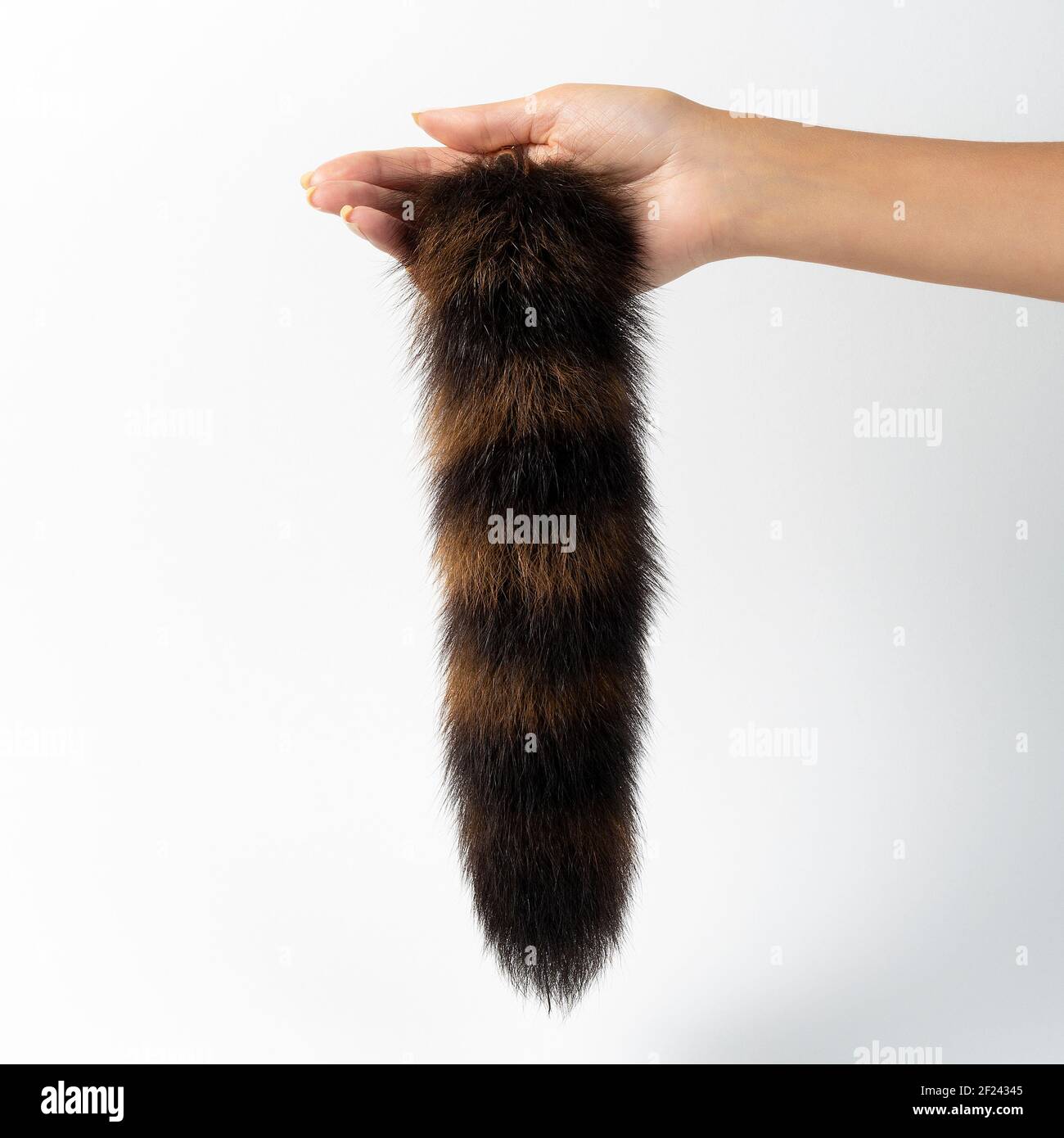 Black hairy woman hi-res stock photography and images - Alamy
