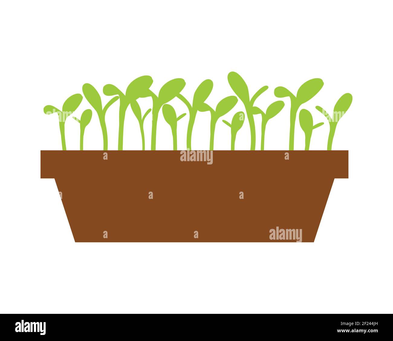 Seedling on a white background. Vector illustration on white isolated ...