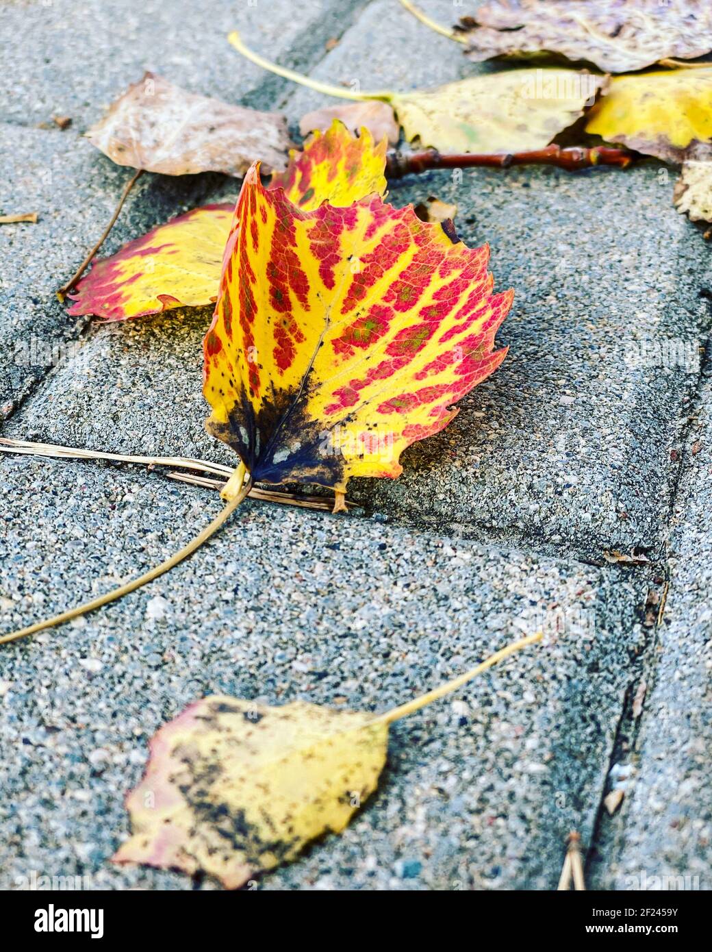 Asphalt patterns hi-res stock photography and images - Alamy