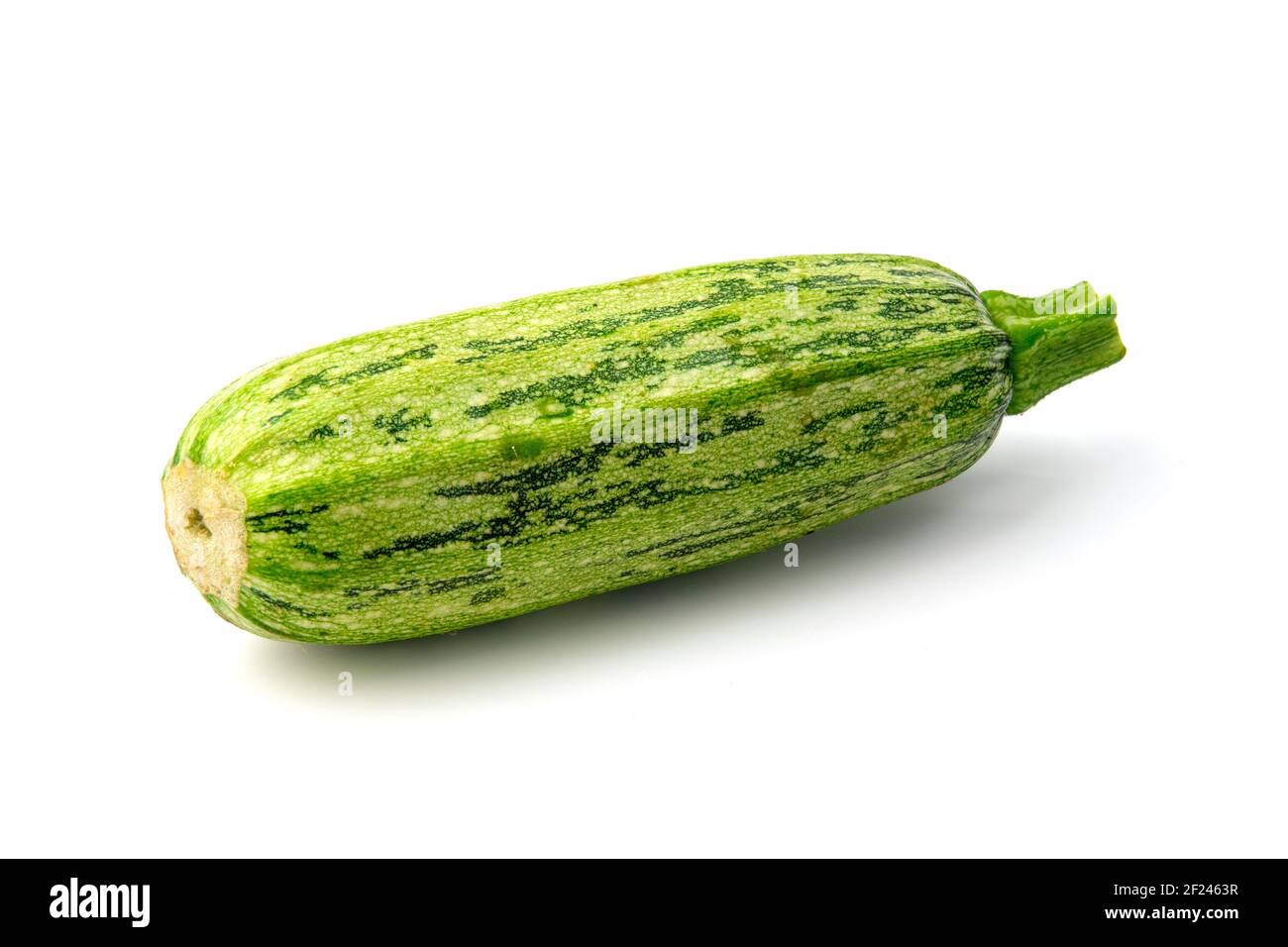 Cocozelle zucchini on a white background Stock Photo - Alamy