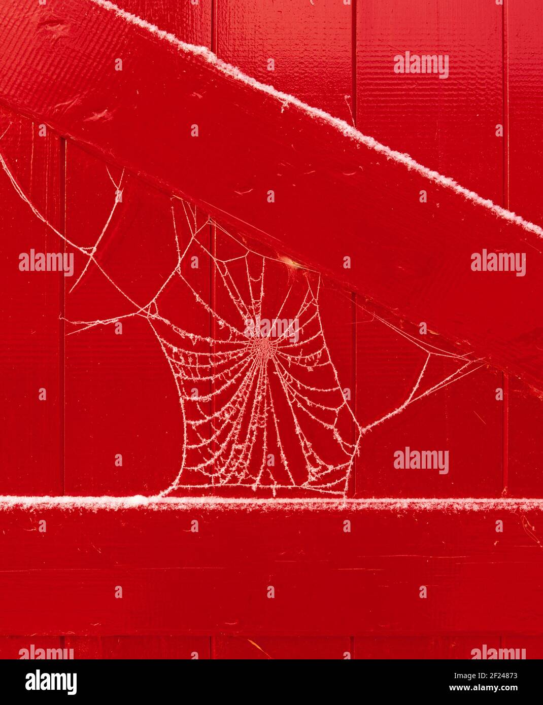 frosted web, on braced door Stock Photo - Alamy