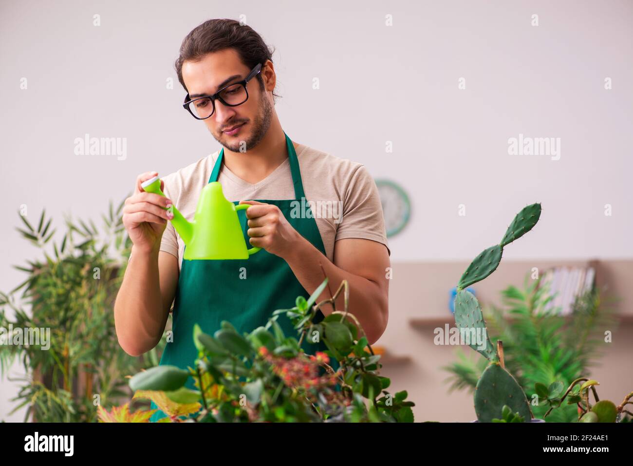 Young male gardener houseplant hi-res stock photography and images - Alamy