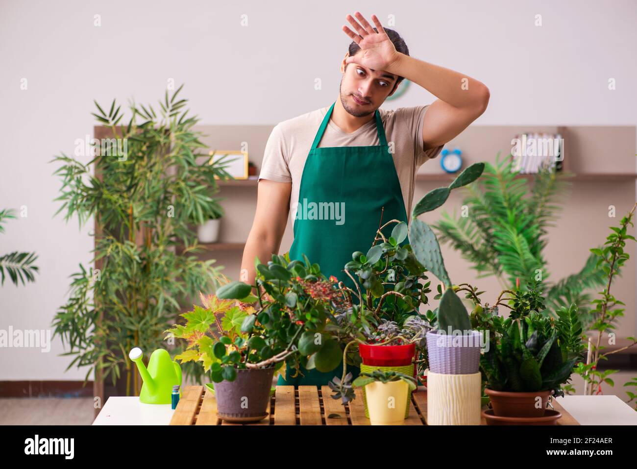 Exhausted gardener hi-res stock photography and images - Alamy