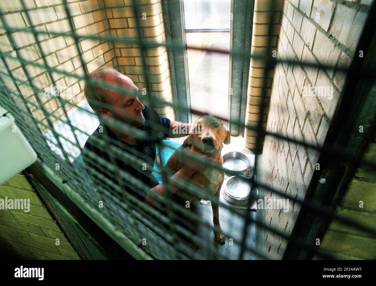 The pet passport scheme was today extended. pic shows the Animal ...