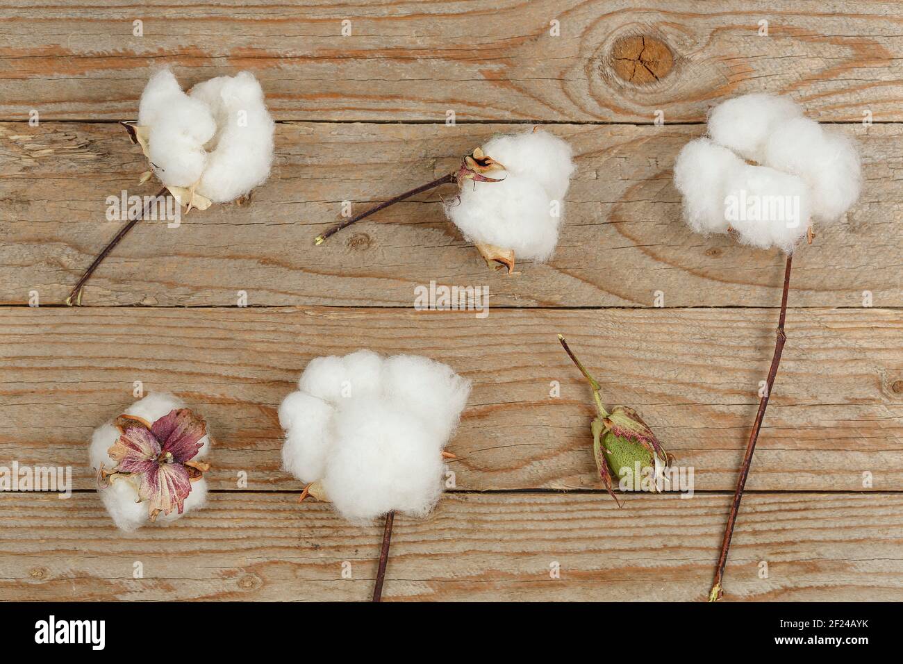 Crop image white flat hi-res stock photography and images - Alamy