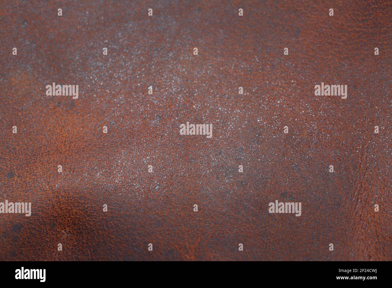 Leather robe hi-res stock photography and images - Alamy