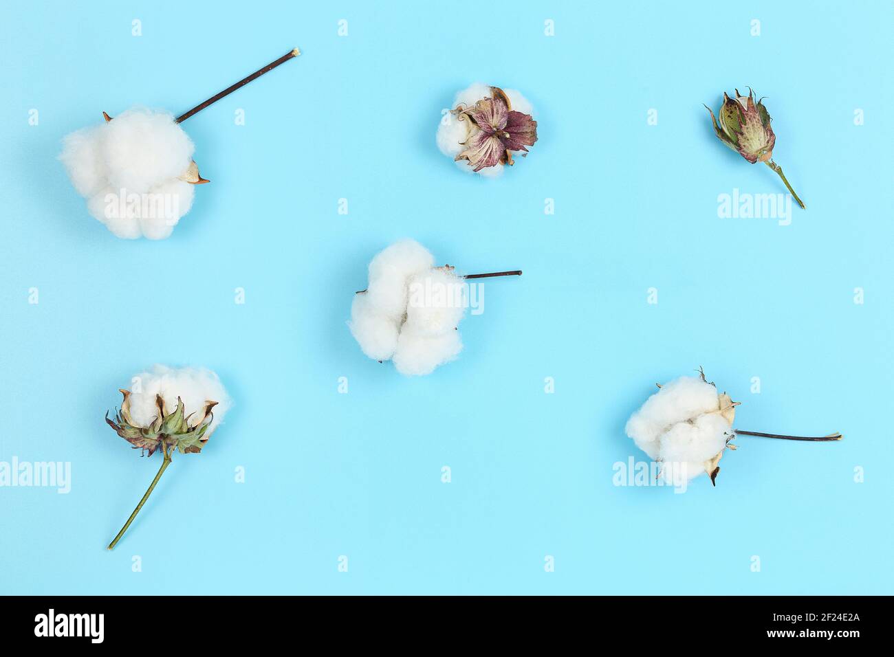 Crop image white flat hi-res stock photography and images - Alamy