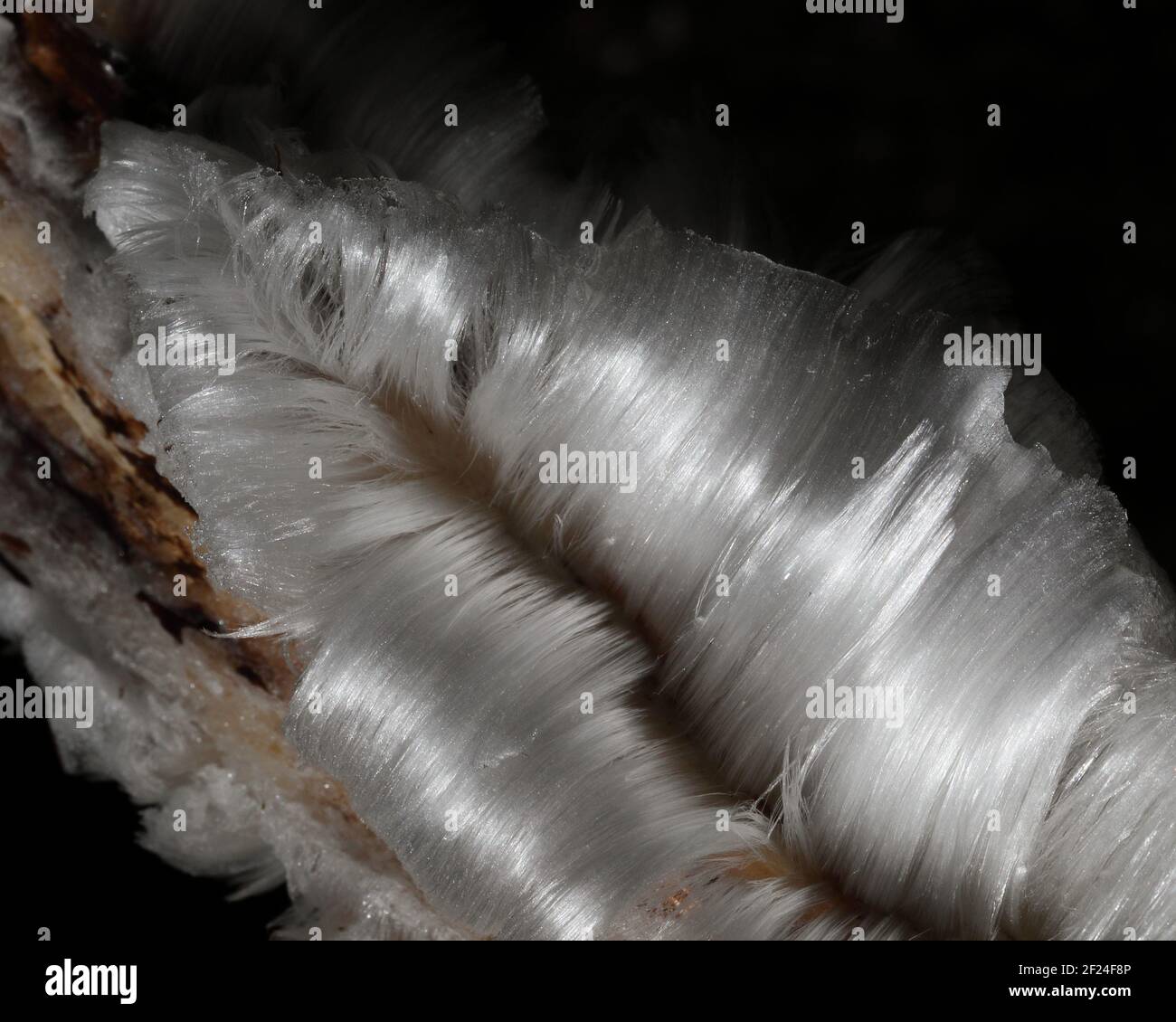 Hair ice hi-res stock photography and images - Alamy