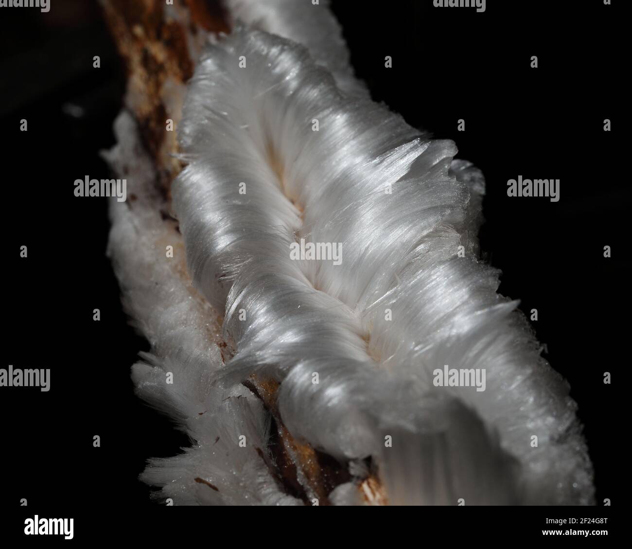 Hair ice hi-res stock photography and images - Alamy