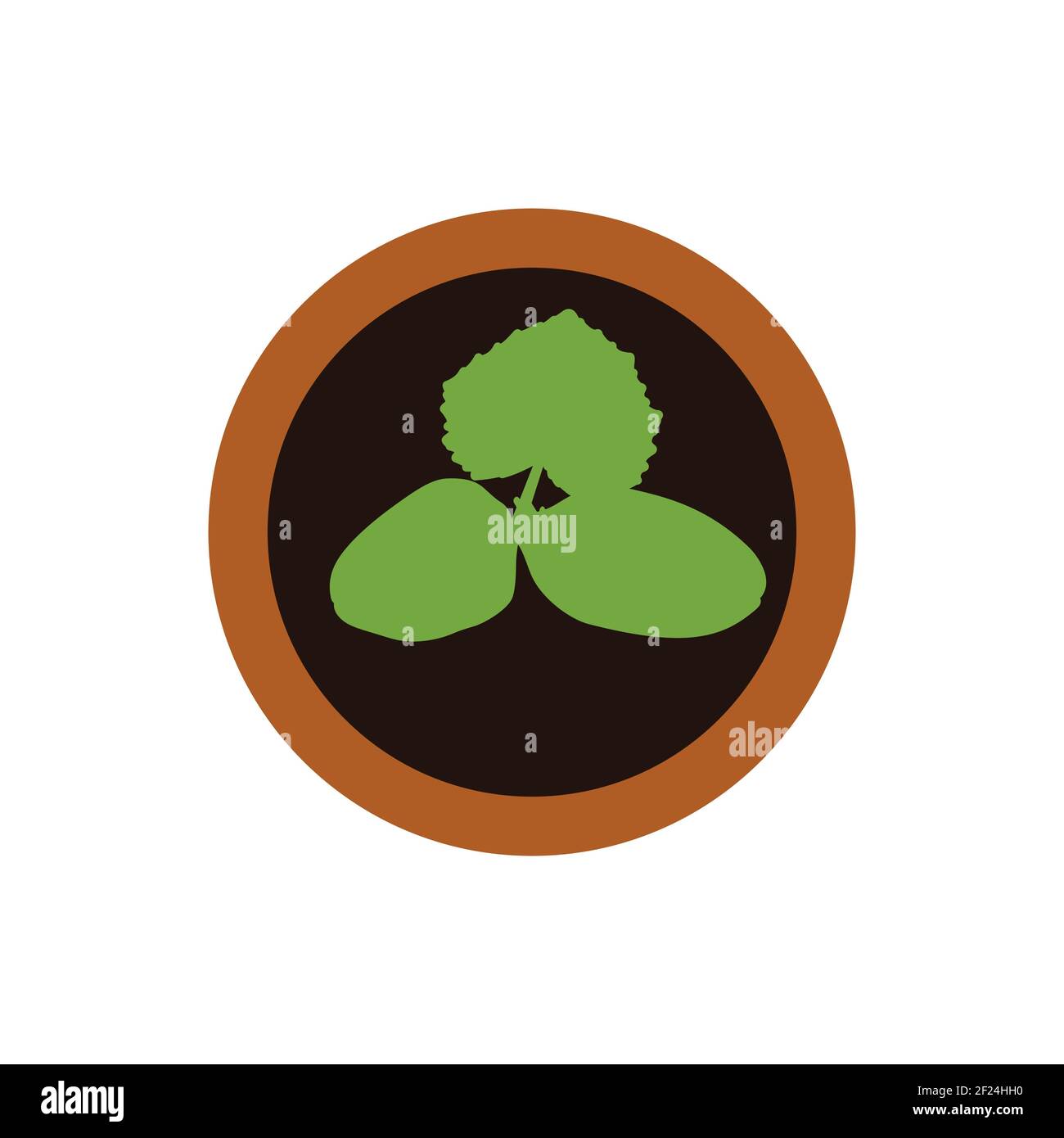 Seedling on a white background. Vector illustration on white isolated ...