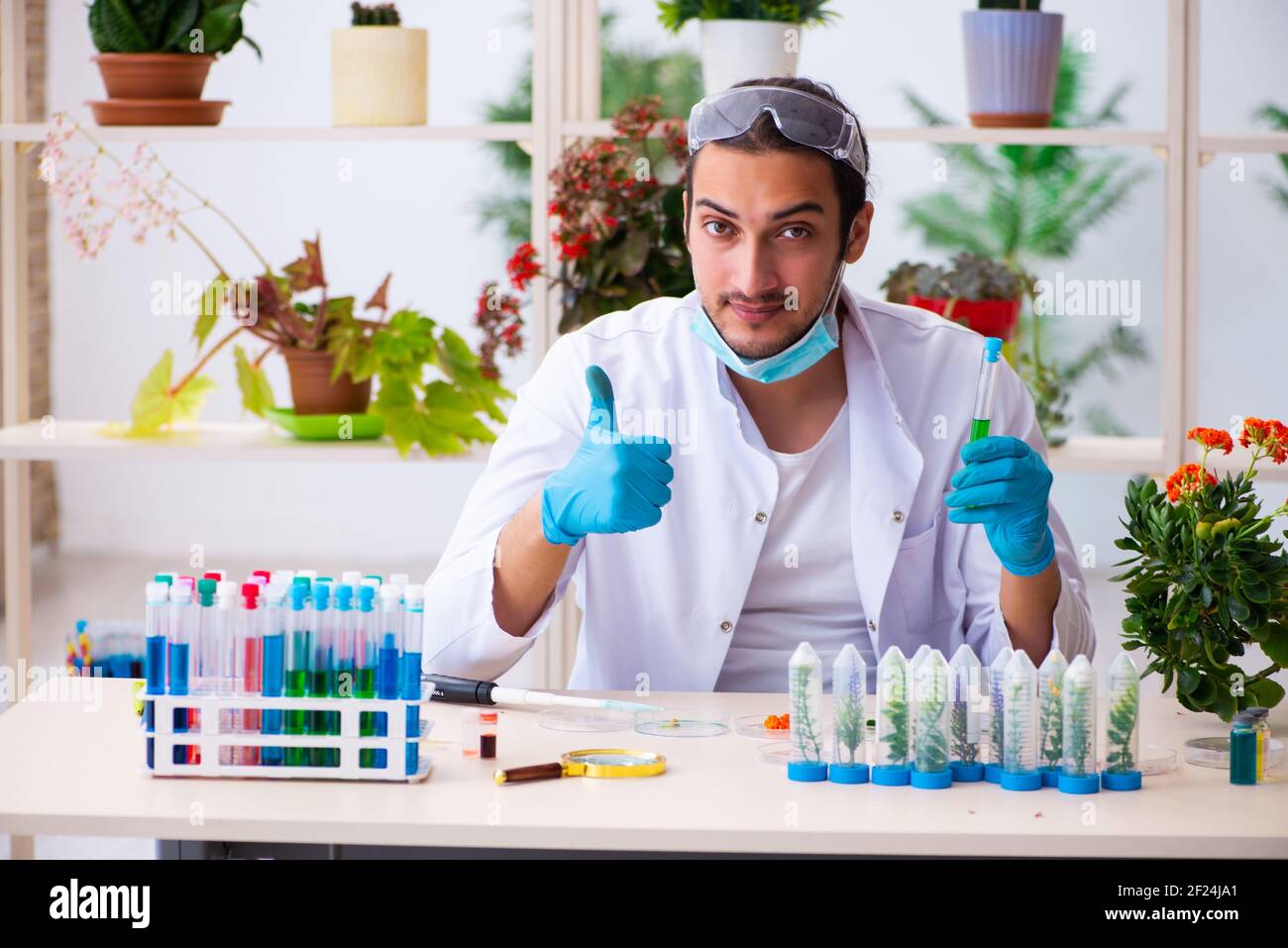 Perfumer laboratory hi-res stock photography and images - Alamy