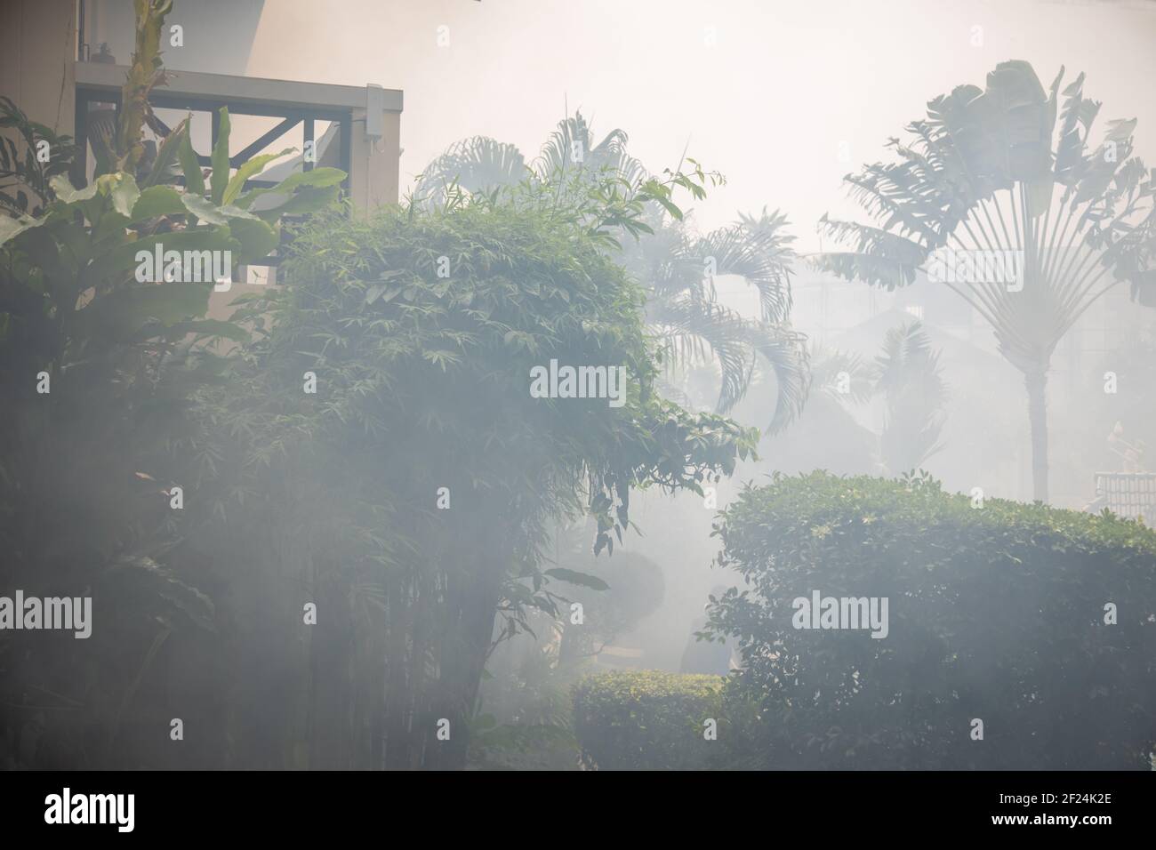 Palm trees fire smoke hi-res stock photography and images - Alamy