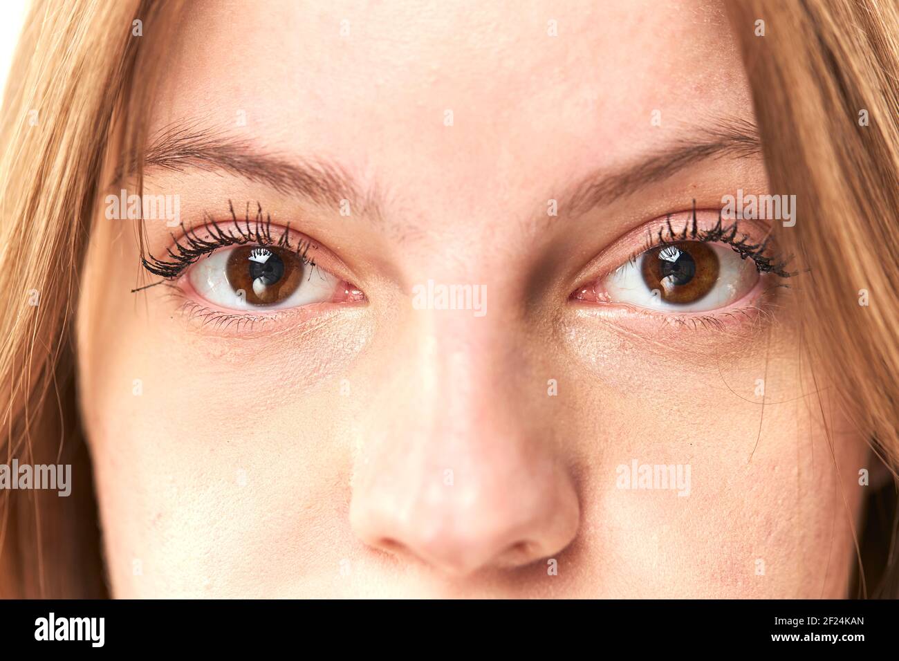 Close up of natural female eye isolated on white background Stock Photo ...